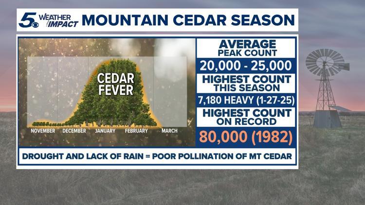 Mountain cedar count on Monday marks highest of the season in San ...