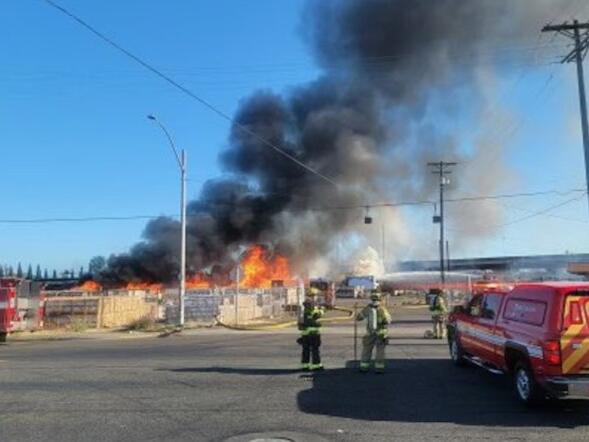 Tacoma Police Hunt for Suspected Arsonist After Series of Deliberate ...