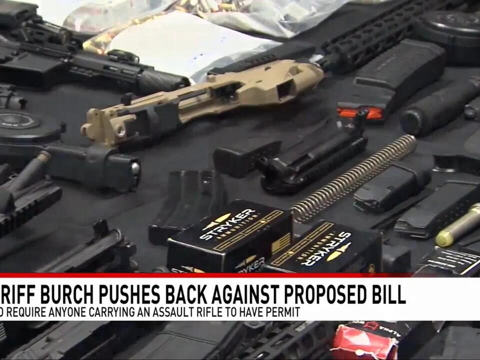 Mobile Co. Sheriff critical of proposed law to define, curb 'assault ...