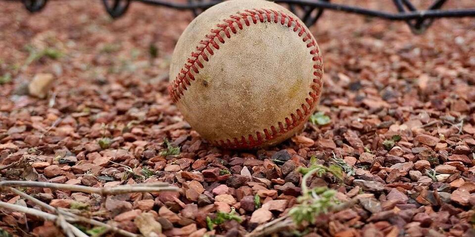 Whiteville plans send-off for high school baseball team headed to state ...
