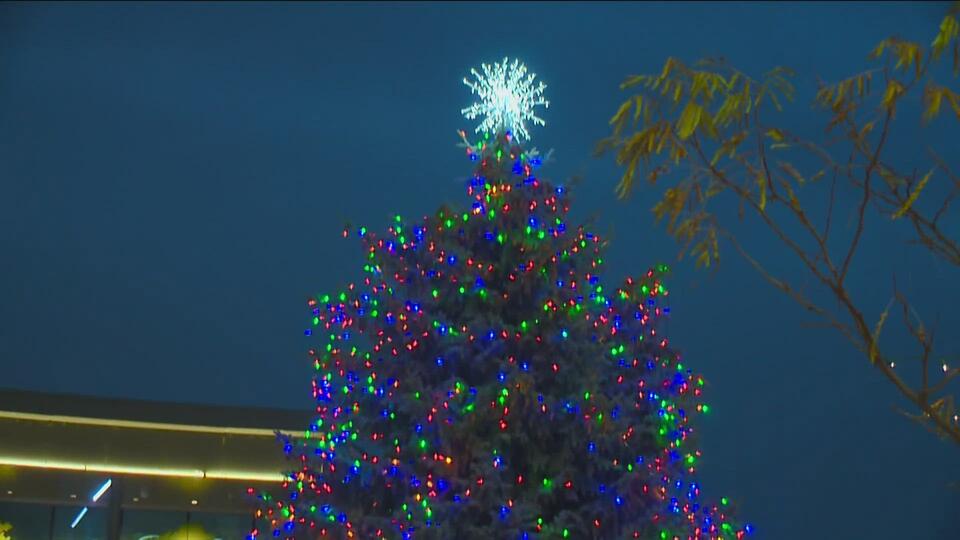 A tree-mendous day: Boise's holiday tree is coming to town - NewsBreak