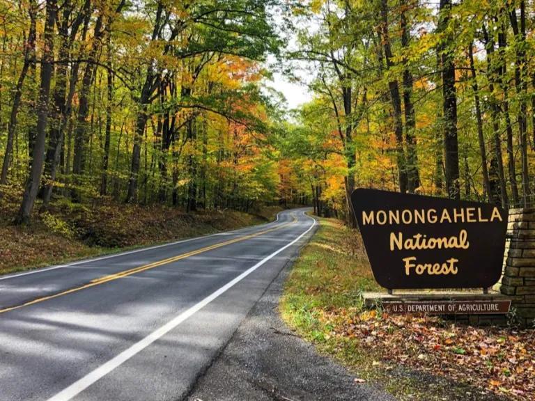 Proposed Fee Changes on Monongahela National Forest