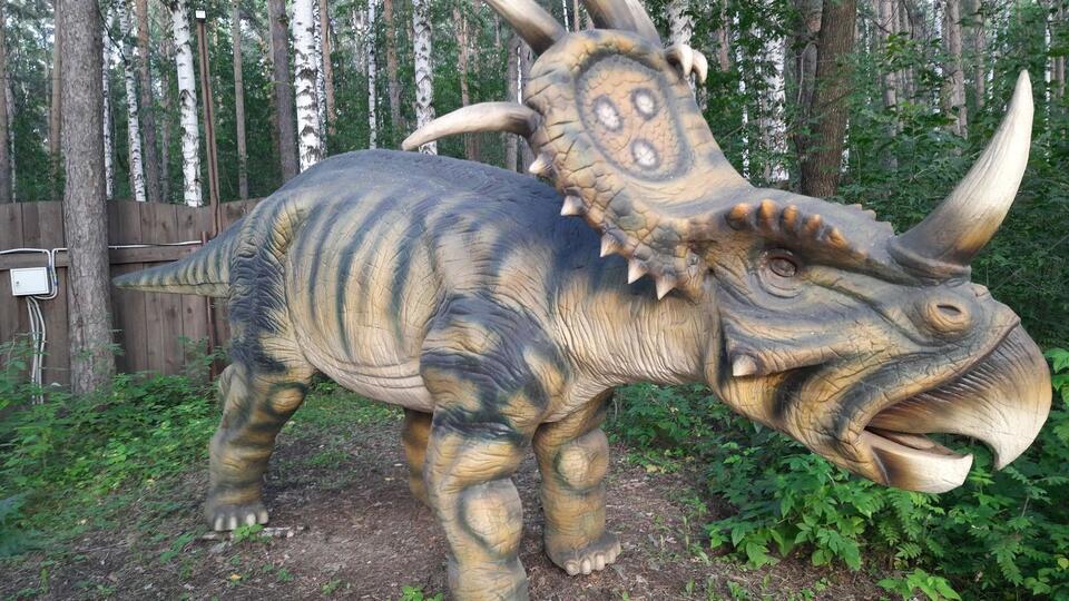 12 Little-Known Dinosaurs With Truly Bizarre and Unique Features ...