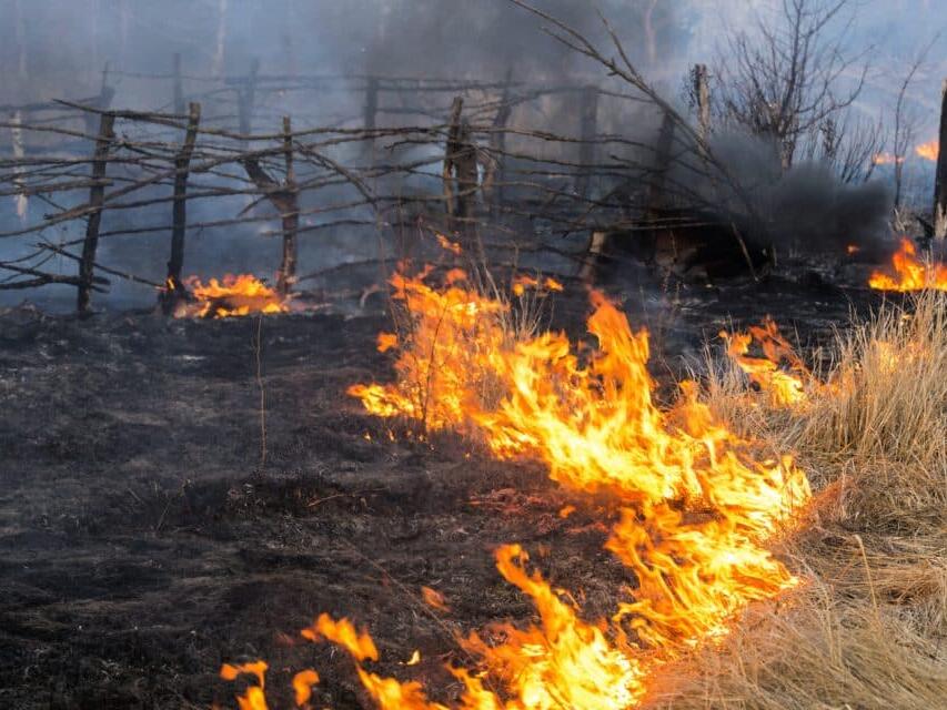 How dormant soil microbes survive in a 60-year-old fire