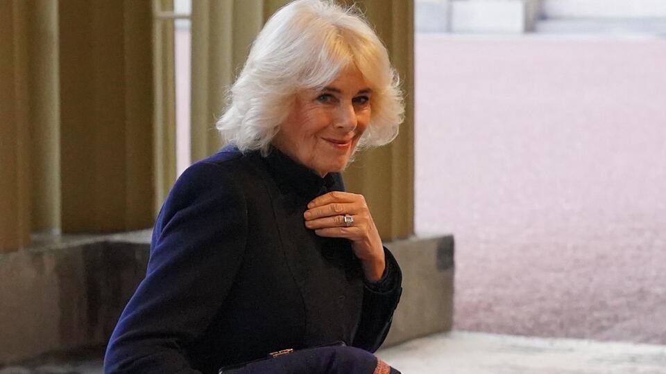 Queen Camilla reveals cause of illness in candid remark to guests ...