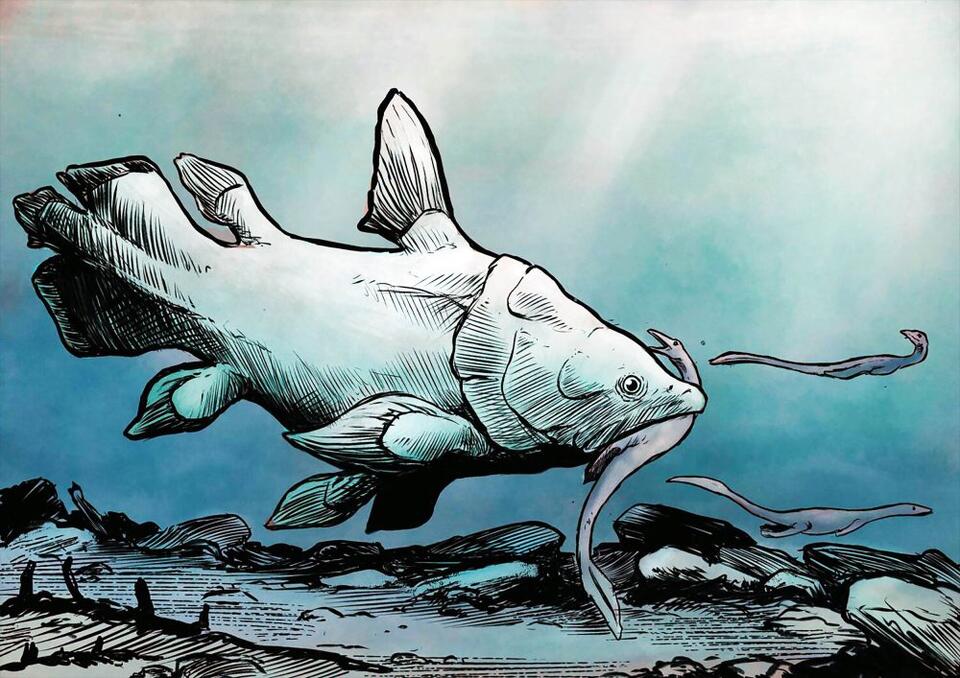 Multiple new species of ‘living fossil’ fish discovered that lived over ...