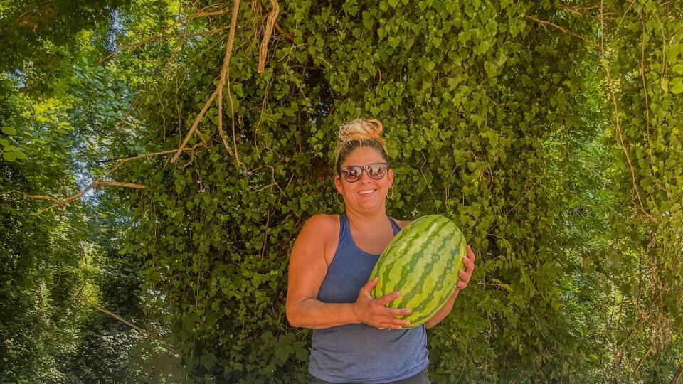 Raleigh's Watermelon Lady and the Triangle's best fruit - NewsBreak