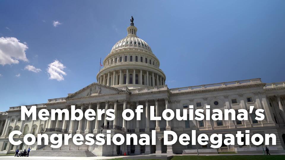 Julia Letlow Announces Run For Louisiana Us Senate Seat Newsbreak