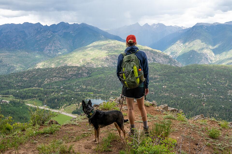 Dog-Friendly Durango – Where to Eat, Play, and Explore with Your Pup ...