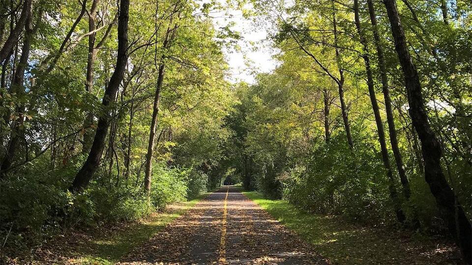 Disabilities councils to host inaugural sensory nature walk on Midland ...