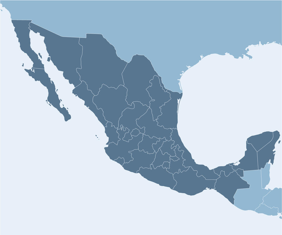 Mexico’s Oldest Black Community Fights To Preserve Its Historic Land As ...