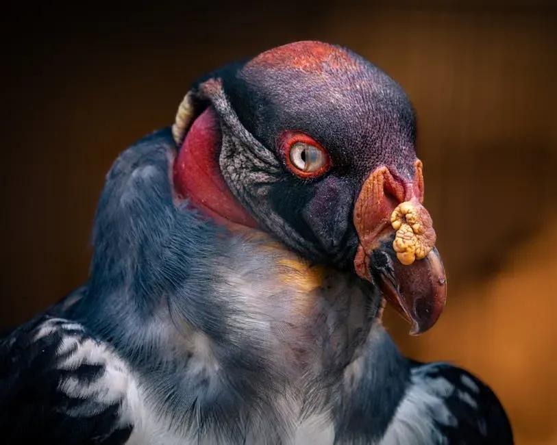 10 Strange Facts About Turkey Vultures That Make Them Nature’s Cleanup ...