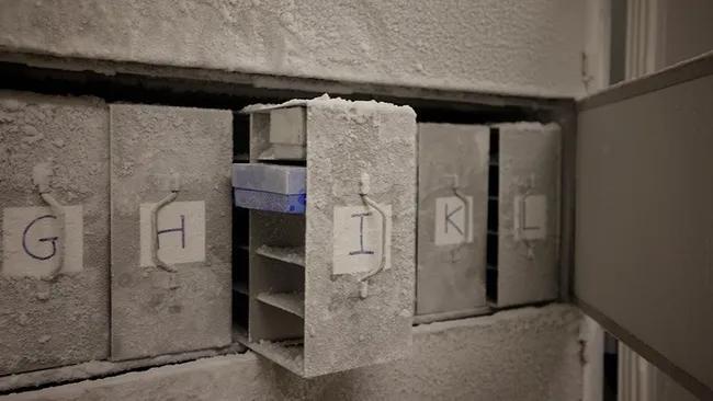 Why Scientists Believe Frozen Human Poop Could Protect Humanity’s ...