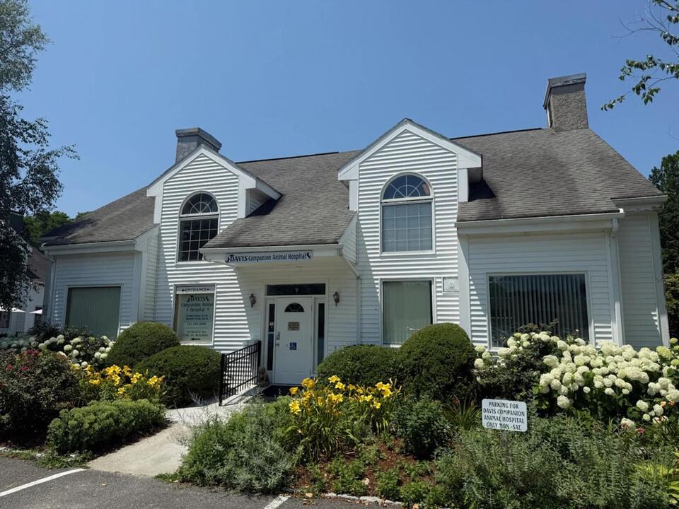 Woodbury's Davis Companion Animal Hospital Welcomes Public to 20th Year ...