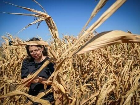 Iulia Blagu says she will not plant corn next year