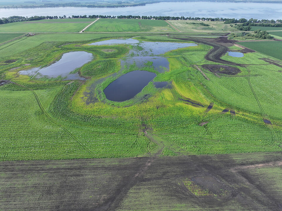 $2.6 Million Moore Slough Restoration Creates Habitat, Clean Water in ...