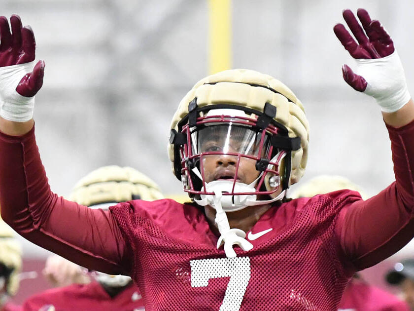 Warchant Top 40: Defensive linemen highlight group of FSU players No. 6-10