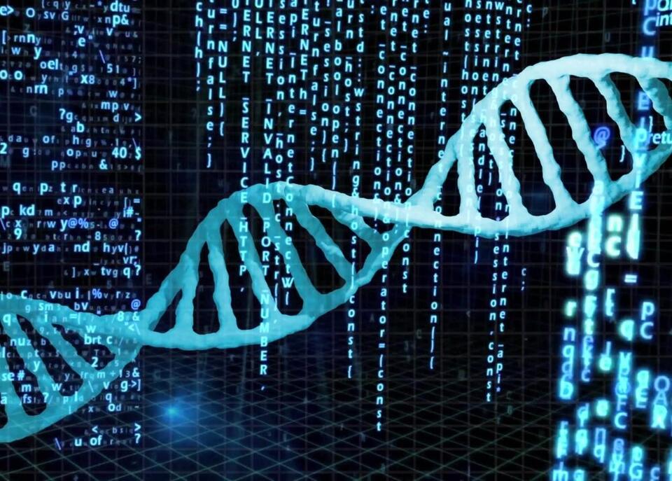 Genome breakthrough shows how much our genes shape who we are - NewsBreak