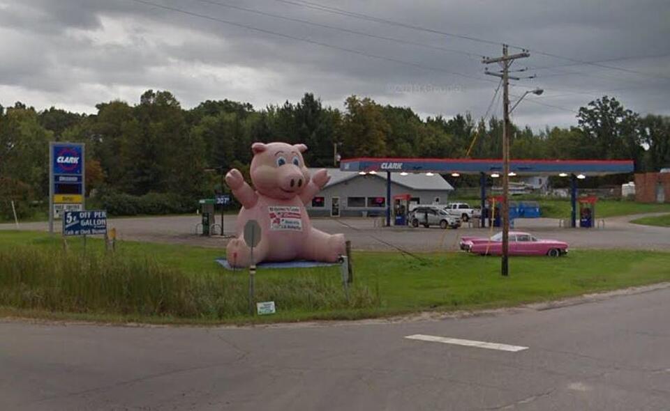 Oink! This Minnesota Town Bar Offers Up Pig Races On Summer Weekends ...