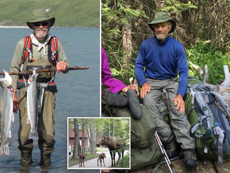 Mother moose kills Alaska dad, 70, attempting to take photos of her ...