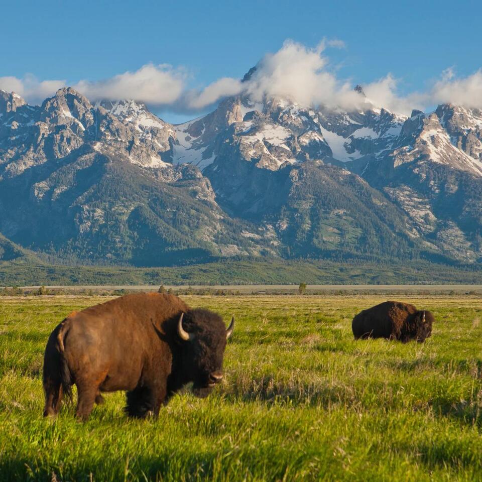 Department of the Interior Announces New Fees for National Parks System ...