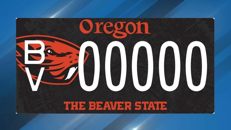 New Oregon State University specialty license plate unveiled - NewsBreak