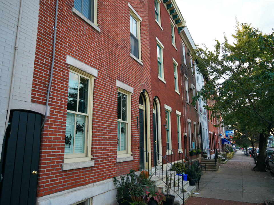 Philadelphia Couple Plants a Tree on Their City Street and It ...
