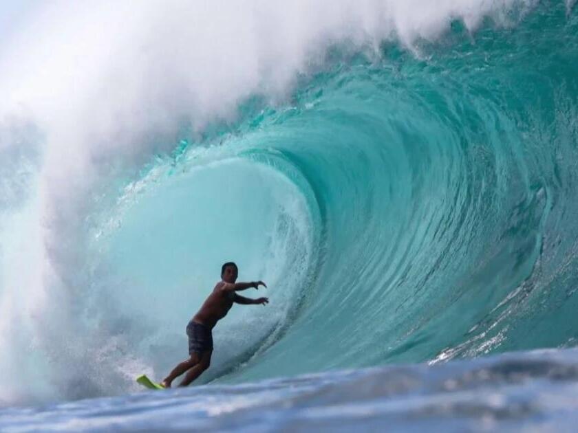 Veteran pro surfer killed in Hawaii shark attack