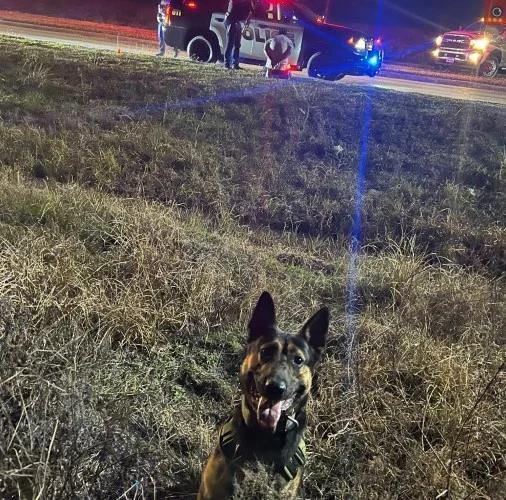 Suspect Caught in Swamp By K9 After Retail Theft Incident at Humble ...