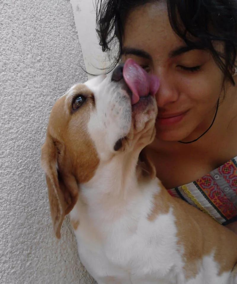 Why Does My Dog Lick Me So Much - NewsBreak
