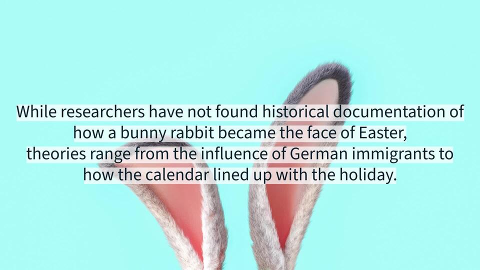 Costco selling 10-pound chocolate Easter bunny for over $110 - NewsBreak