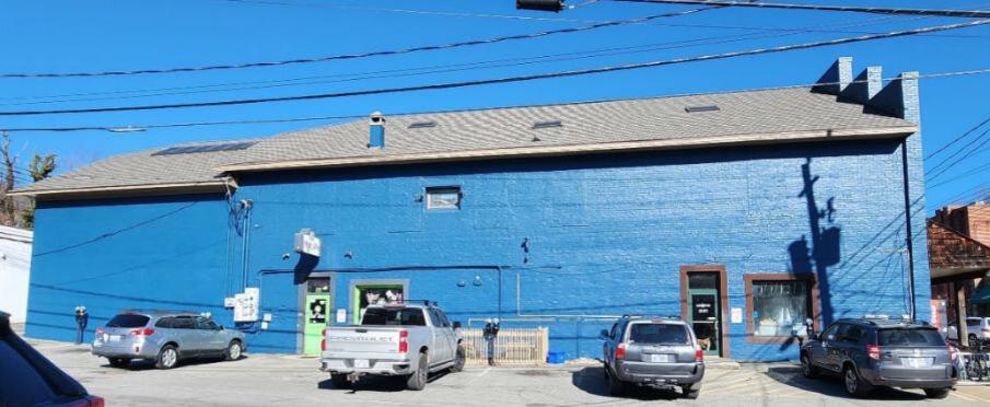 Boone calling for artist submissions for downtown Hellbender mural ...