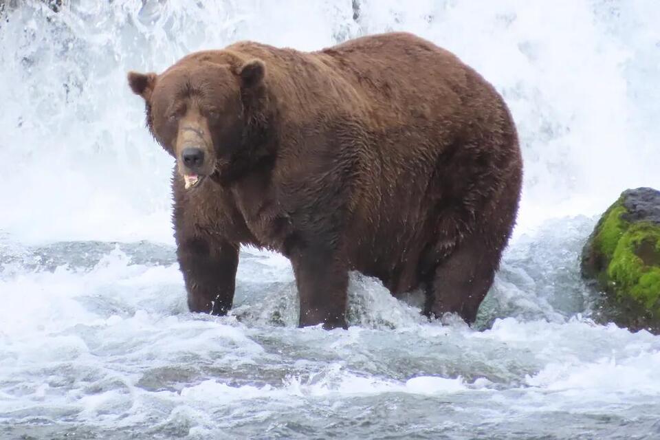 After Two Years as Runner-Up, Chunk Is Finally Crowned Winner of Fat ...