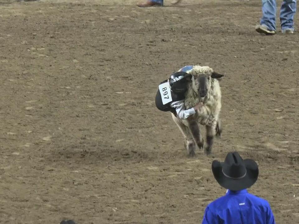 Young cowboys, cowgirls kick off rodeo at YMBL South Texas State Fair ...