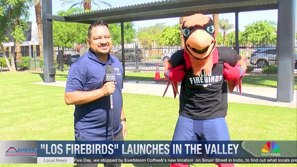 Firebirds Unveil "Los Firebirds" Brand to Celebrate Coachella Valley ...