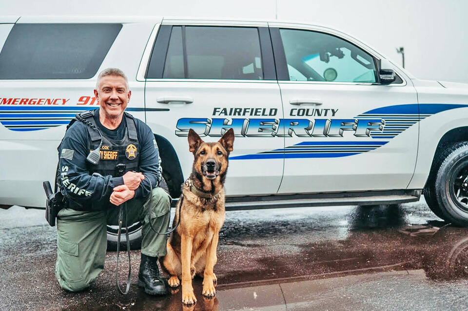 Armed suspect captured after Fairfield County K9 team tracks him over a ...