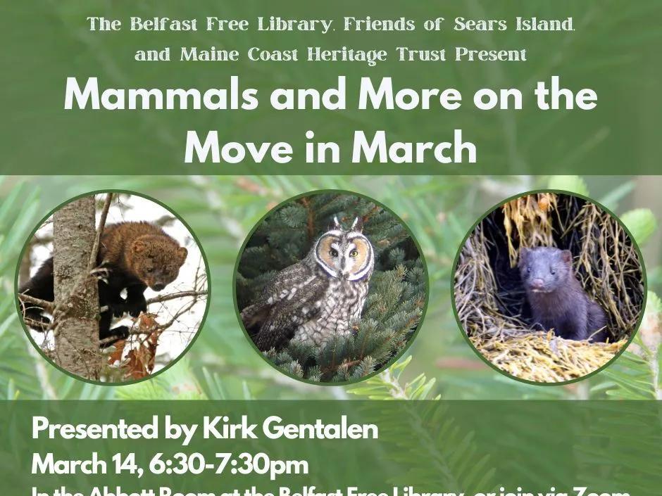 ‘Mammals and More on the Move in March’ presentation at Belfast Free ...
