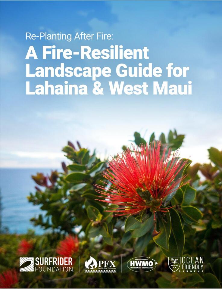 Re-planting after fire: A Fire-Resilient Landscape Guide for Lahaina ...