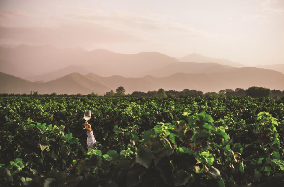 Decanter World Wine Awards 2026 entries now open: Recognition that ...