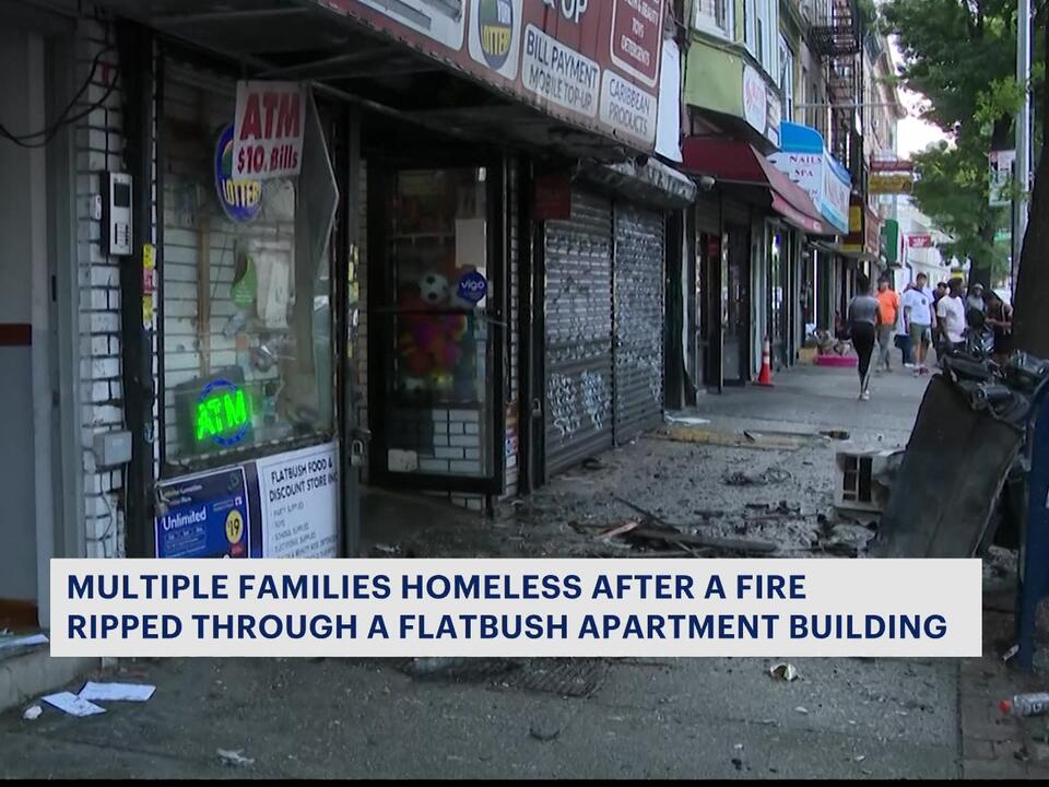 Puppies rescued from Flatbush Avenue fire
