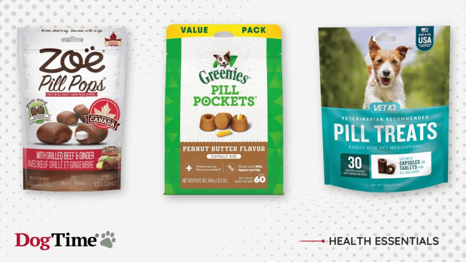 7 Best Pill Pockets for Dogs, Vet’s Picks in 2024 - NewsBreak