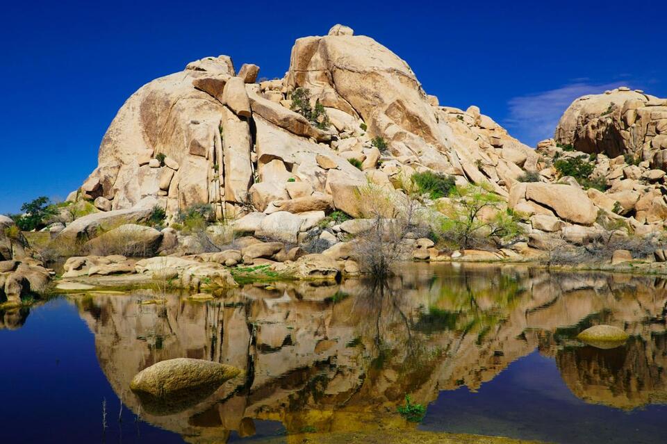 8 Best Things to Do in Joshua Tree National Park - NewsBreak