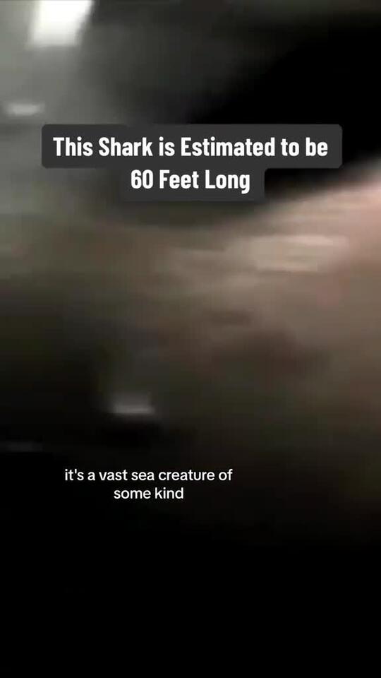 A 60-foot shark was caught on camera! #StrangeEvidence #SharkWeek ...