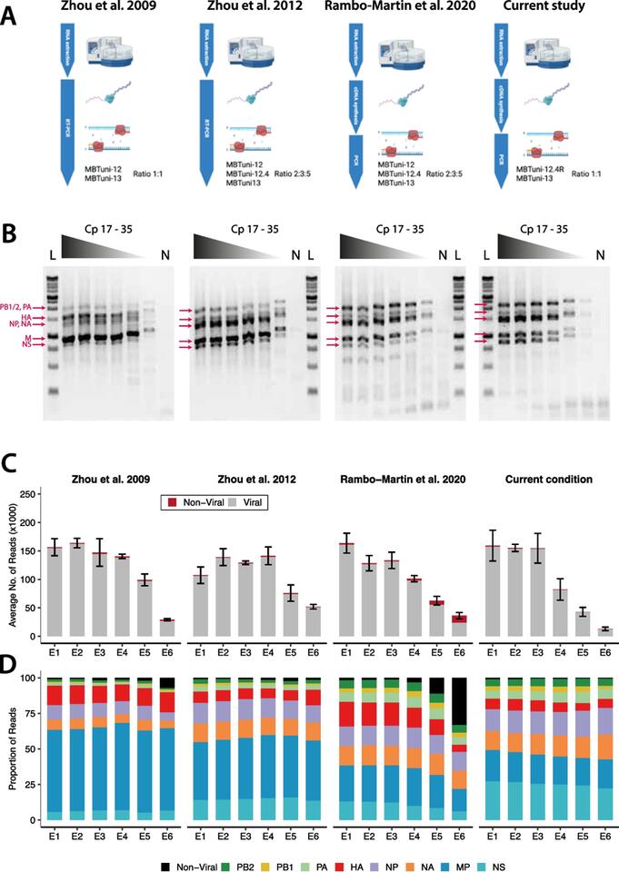 Optimized high-throughput whole-genome sequencing workflow for ...