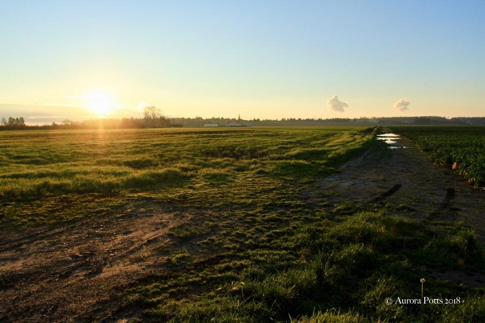 PeaceHealth Neurology at Cascade Brain and Spine Center, Sedro-Woolley ...