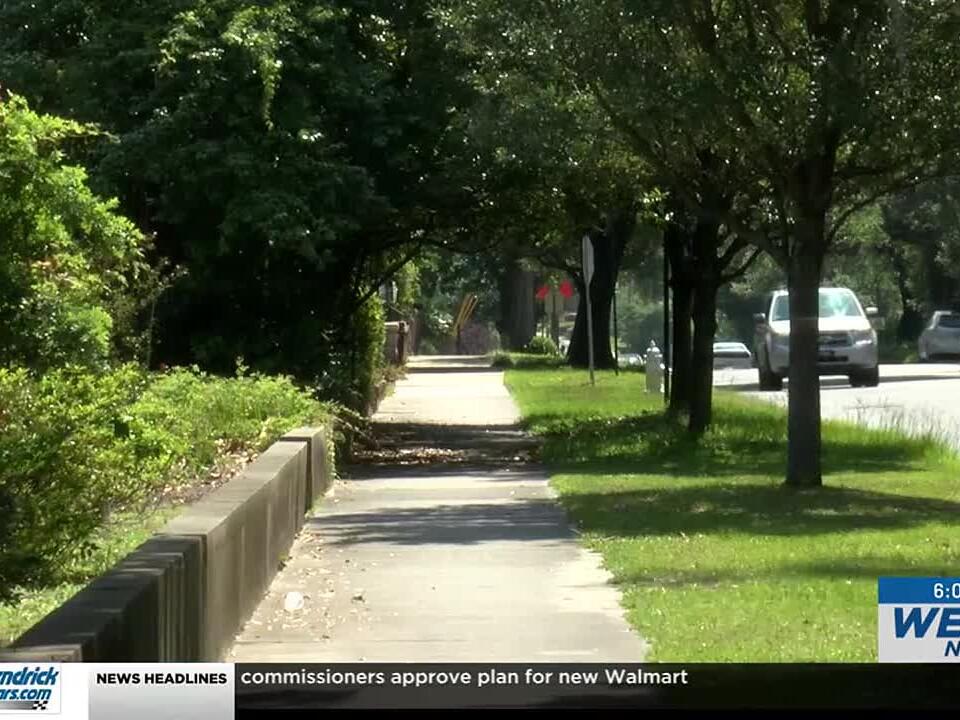 Neighbors on Market Street express concerns as tree removal work begins