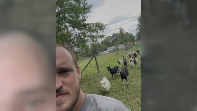 Michigan farmer loses more than 100 goats in fire - NewsBreak