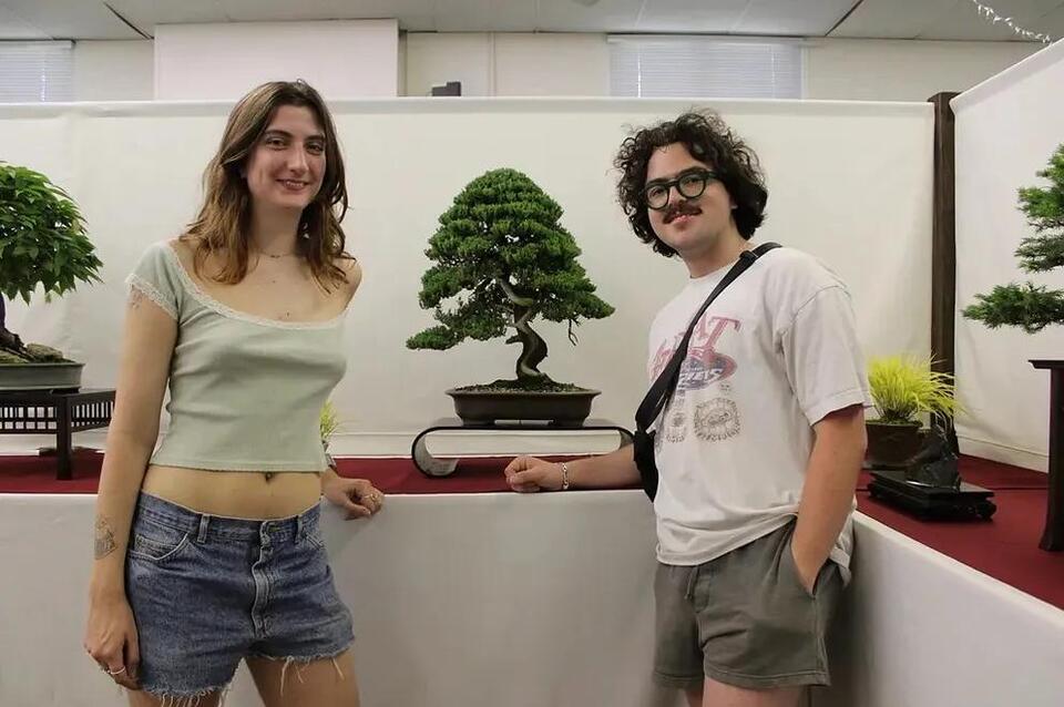 Tiny Trees Tower At Bonsai Bonanza - NewsBreak