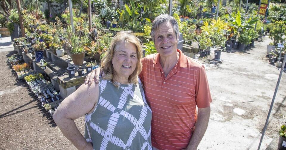 White Forest Nursery hosts clearance sale as owners transition to new ...