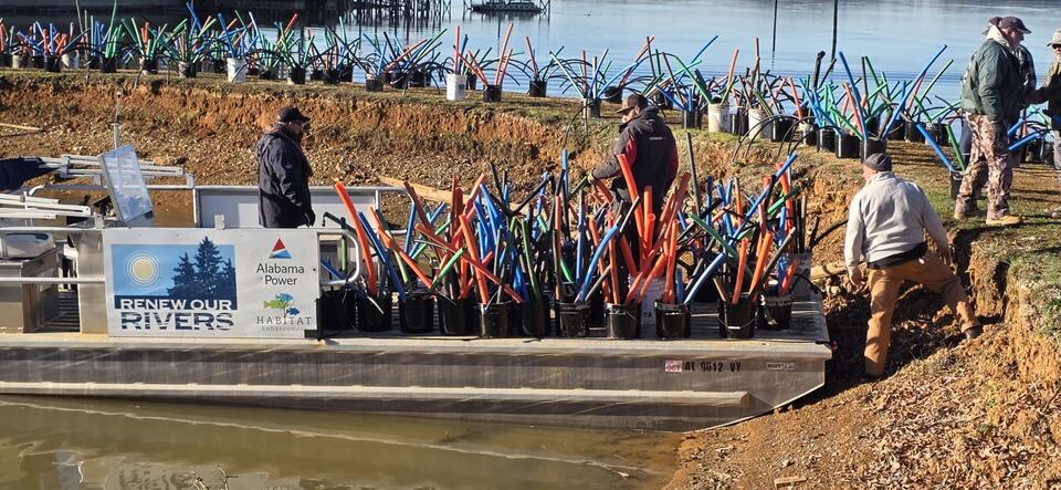 Volunteers Deploy New Fish Habitats in Weiss Lake to Strengthen ...